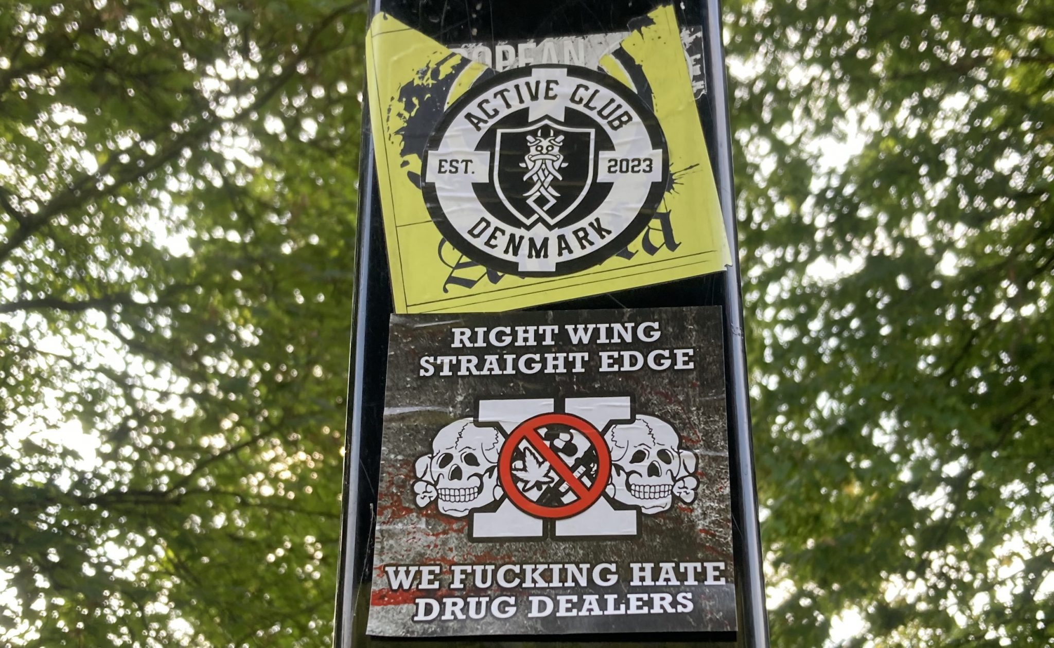 Nazistisk kampsportsklub er kommet til Danmark - Researchkollektivet Redox